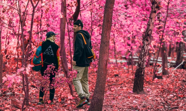 全新 ACG 18 秋冬系列正式发布！Supreme x TNF 联名还有第二波！ #47006